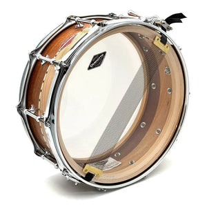 Craviotto Private Reserve Sapele/Sycamore Snare Drum 14x5.5 w/Maple In